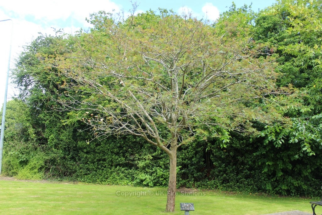 Station – UK Fire Stations